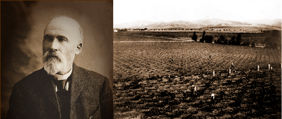 1883 Story Timeline - Concannon Vineyard