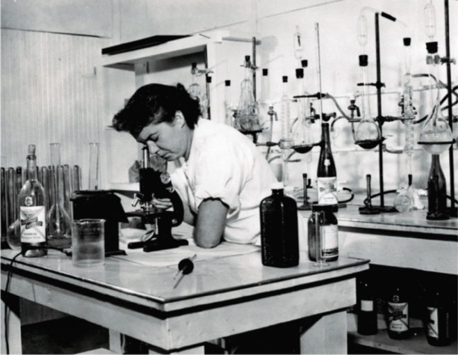 Pictorial History | Concannon Vineyard