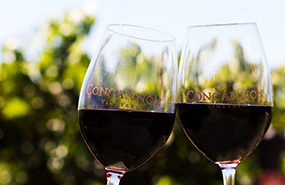 Winemaking - Concannon Vineyard