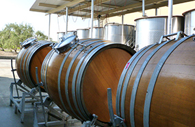 Winemaking - Concannon Vineyard
