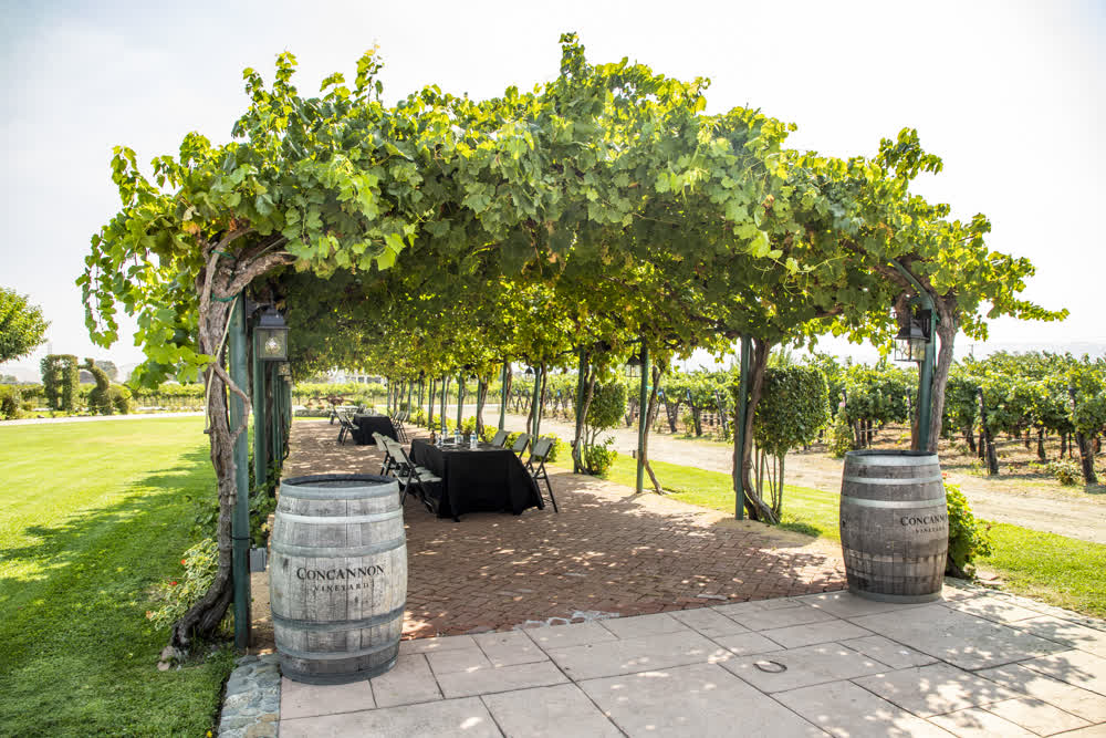 Private Events - Concannon Vineyard